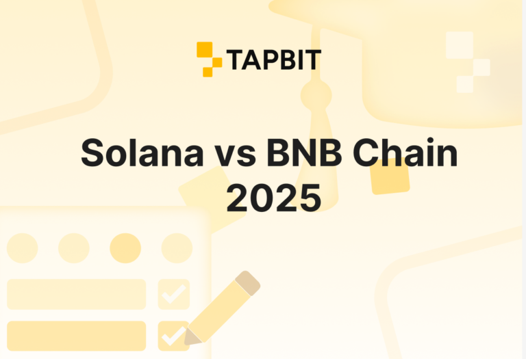 Solana vs BNB Chain 2025: Which Layer-1 Blockchain Wins For Speed, Cost ...