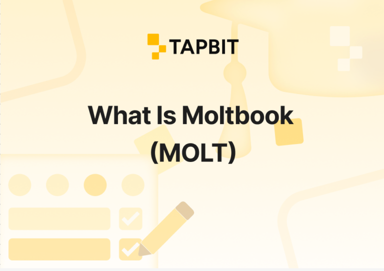 What Is Moltbook (MOLT) And How It Works?